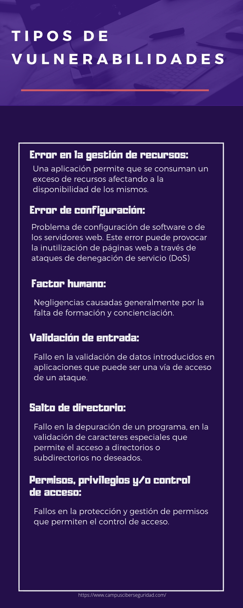 Tipos de vulnerabilidades en ciberseguridad